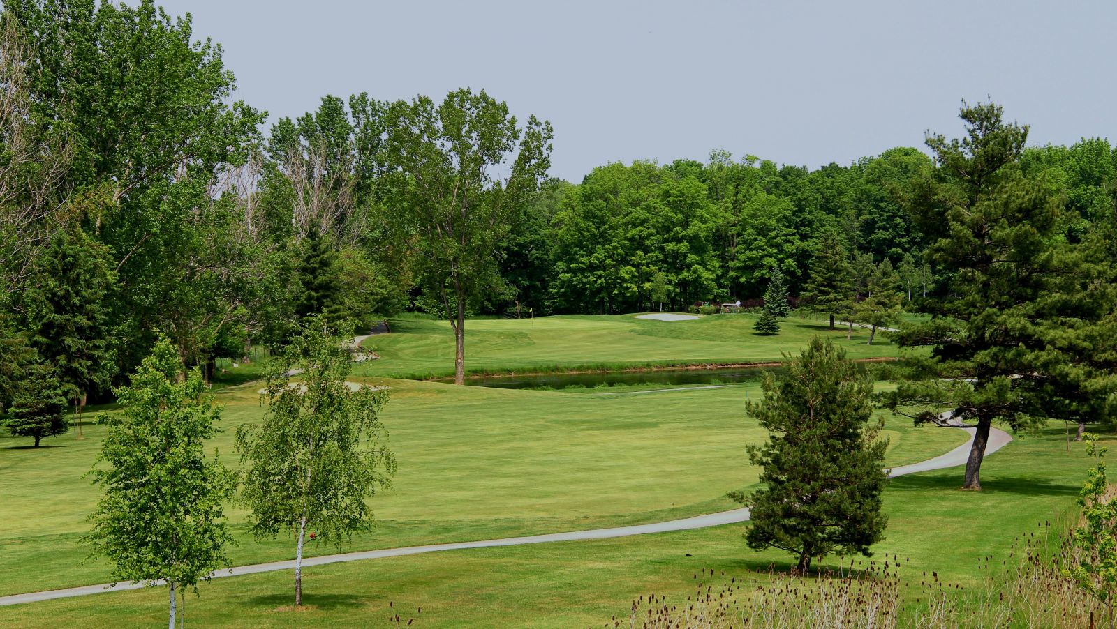 Membership and more - Mount Nemo Golf Club